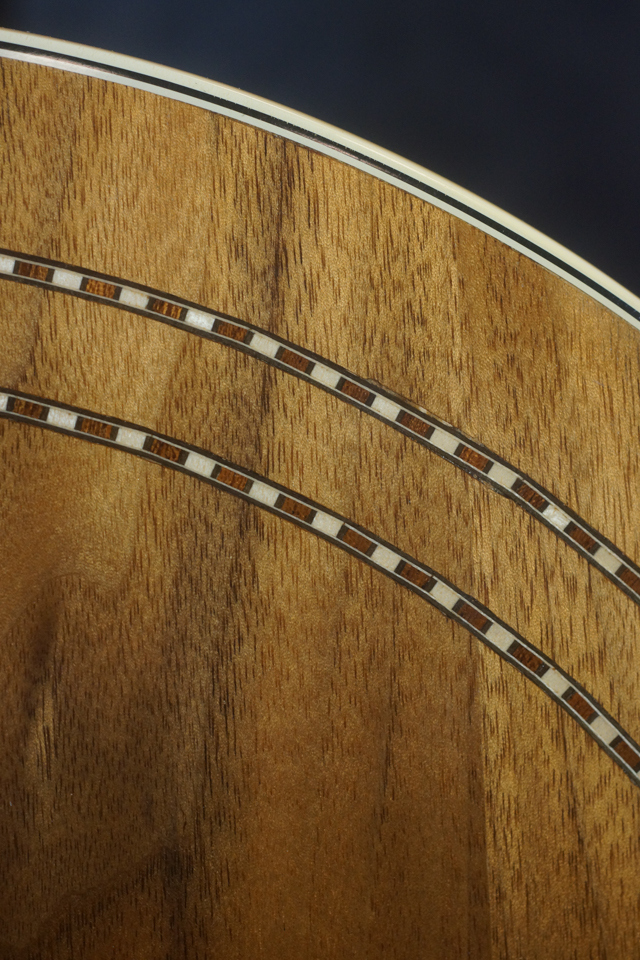 1960's-Fender-Concertone-Deluxe-5-string-Banjo-Gold-Engraved-PLUS-Keith ...